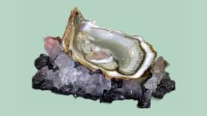 Manganese vs. Magnesium: Key Differences (and Why They Matter ...